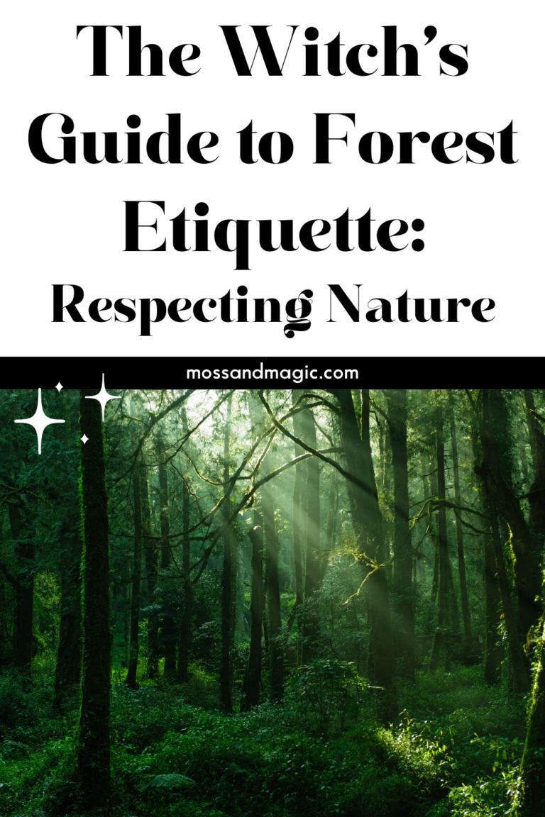 The Witch’s Guide to Forest Etiquette: Respecting Nature – Moss & Magic
