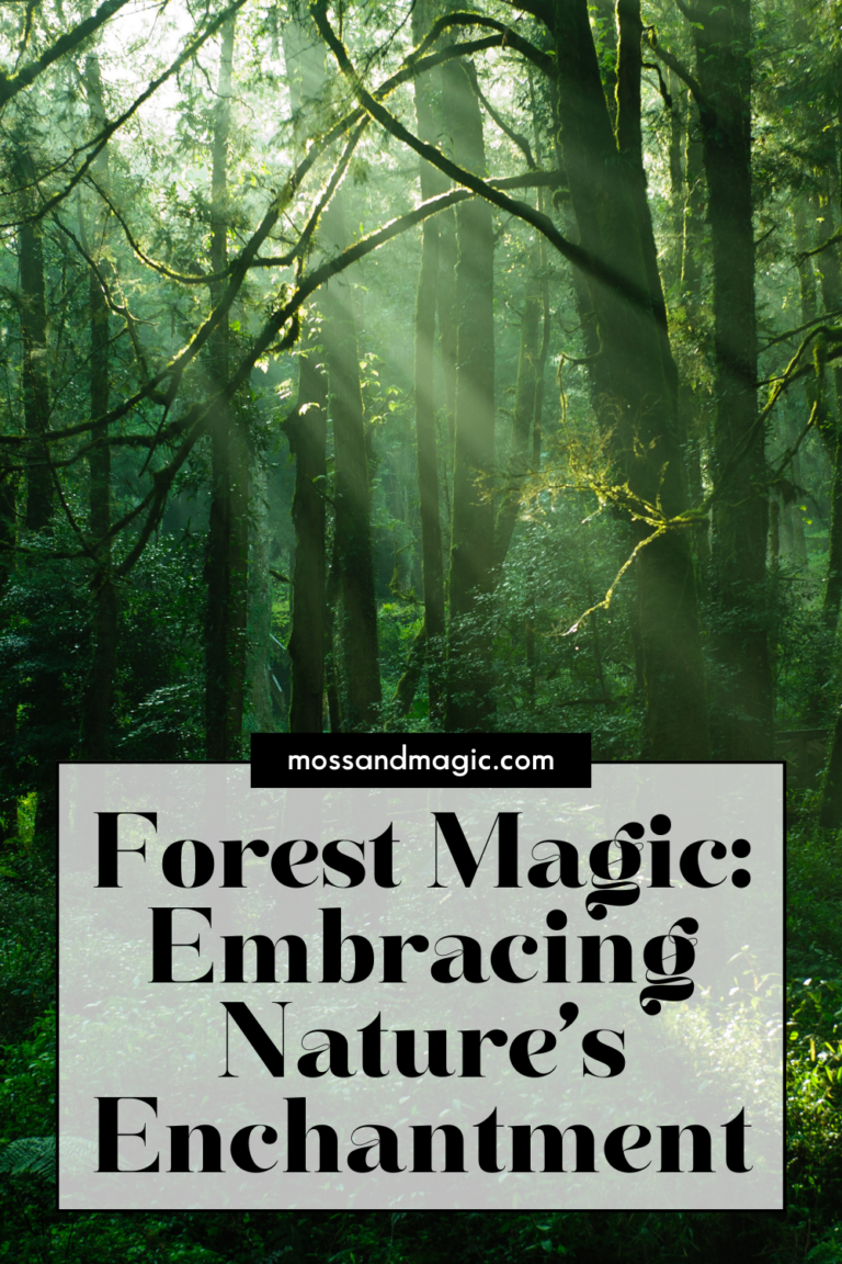Forest Magic: Embracing Nature’s Enchantment – Moss & Magic