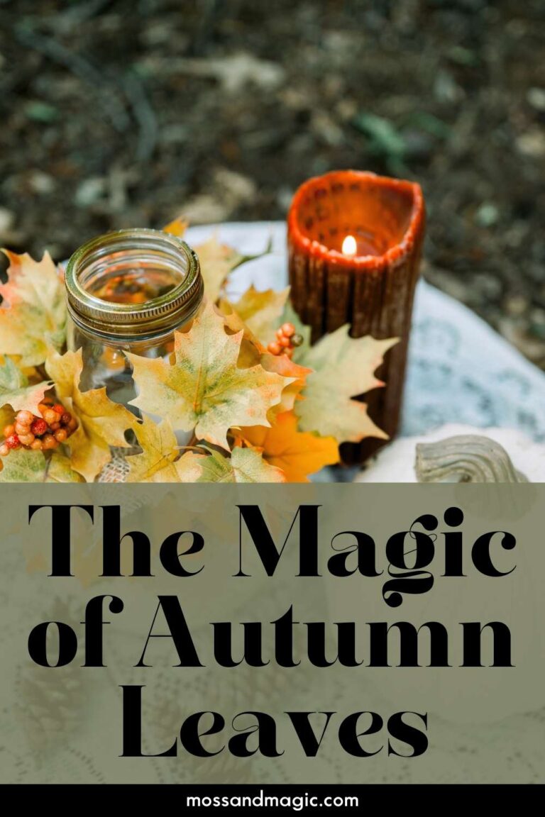 The Magic of Autumn Leaves: Exploring the Enchantment of Falling Leaves ...