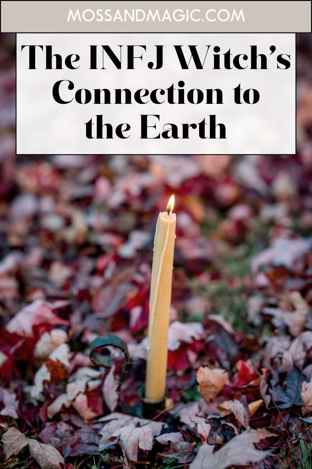Nature as a Sanctuary: The INFJ Witch’s Connection to the Earth – Moss ...