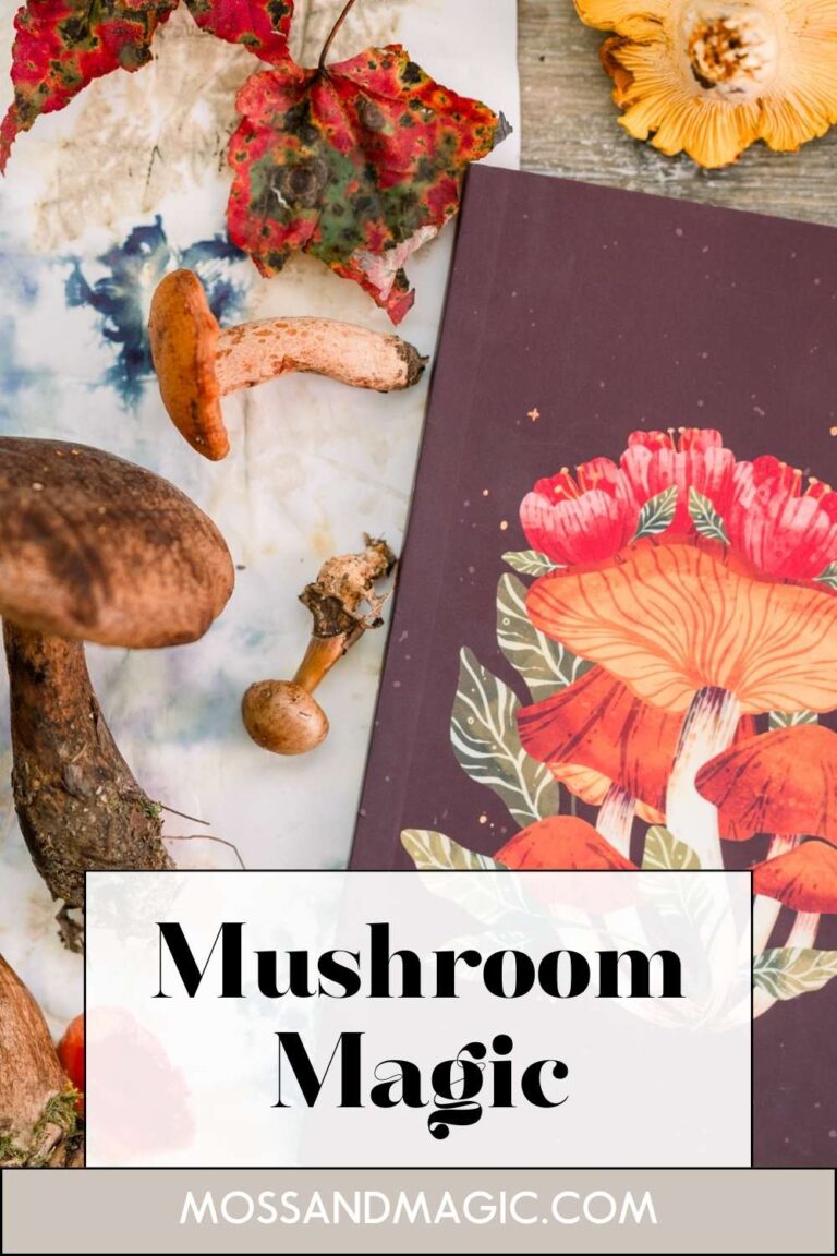 Mushroom Magic: The Mystical Properties of Autumn Fungi – Moss & Magic