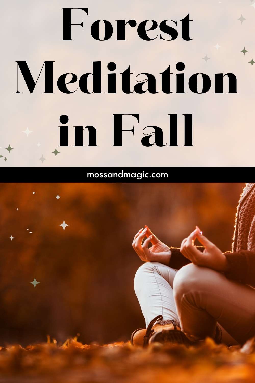 Forest Meditation in Fall: Techniques for Meditating in Autumn Forests ...