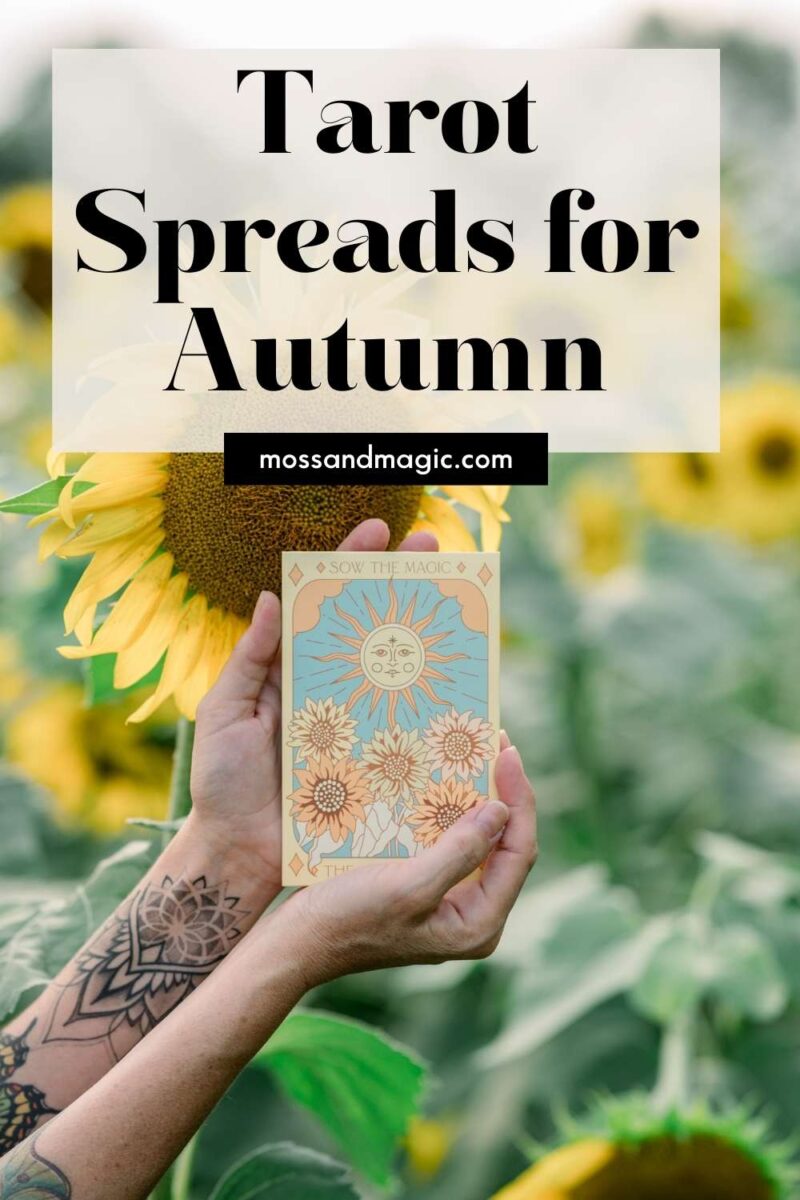 Tarot Spreads for Autumn: Seasonal Tarot Spreads for Autumn Insights ...