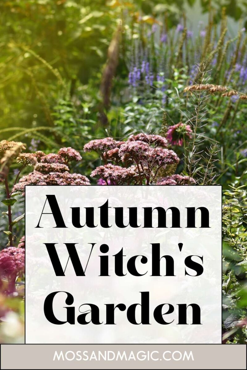 Autumn Witch’s Garden: Tending to and Harvesting from a Witch’s Garden ...