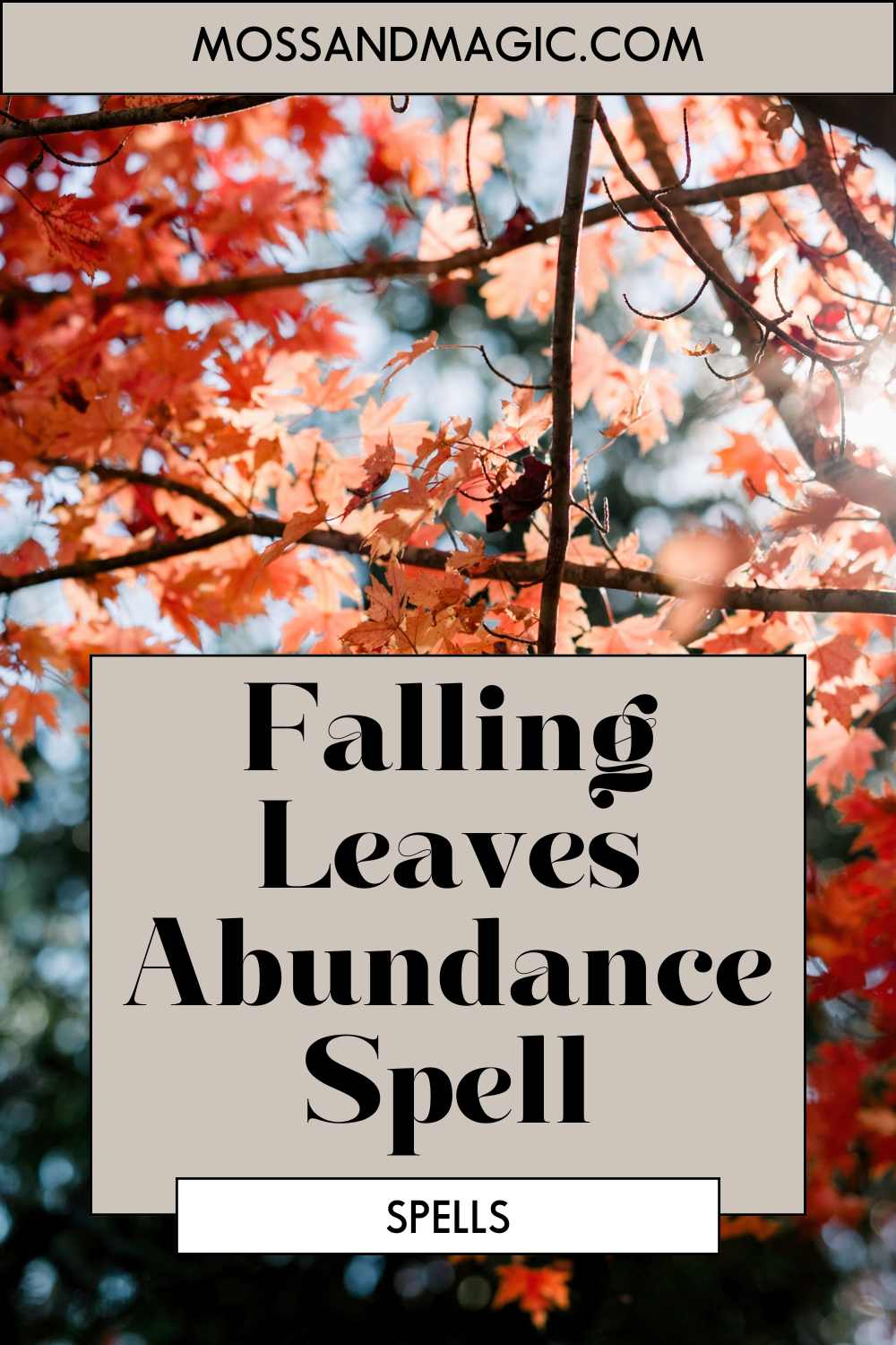 Falling Leaves Abundance Spell: A Spell Using Fallen Leaves to Attract ...