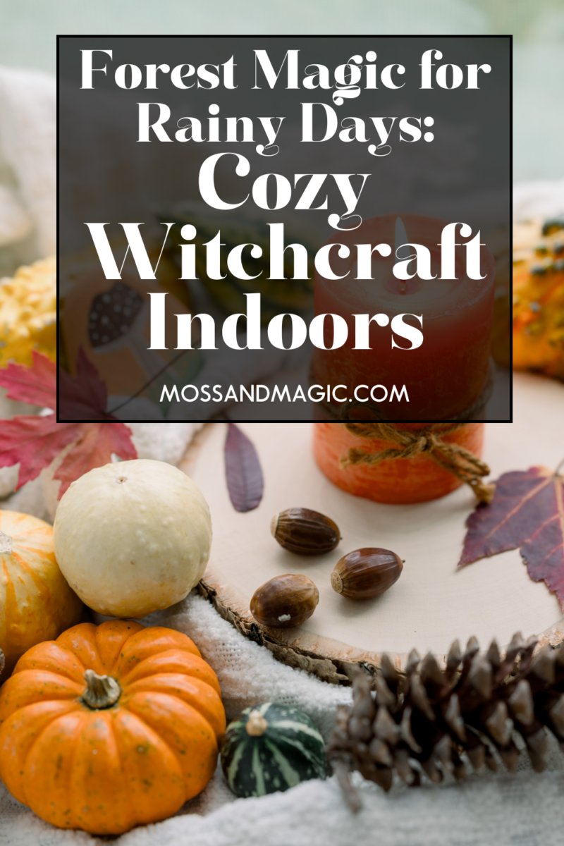 Forest Magic for Rainy Days: Cozy Witchcraft Indoors – Moss & Magic
