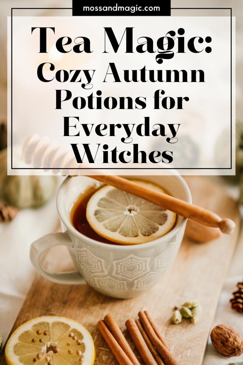 Tea Magic: Cozy Autumn Potions for Everyday Witches – Moss & Magic
