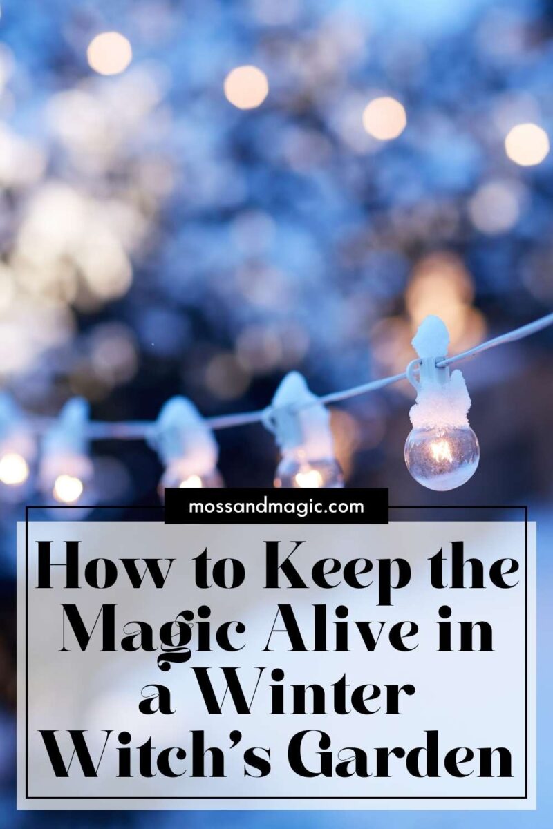 How to Keep the Magic Alive in a Winter Witch’s Garden – Moss & Magic