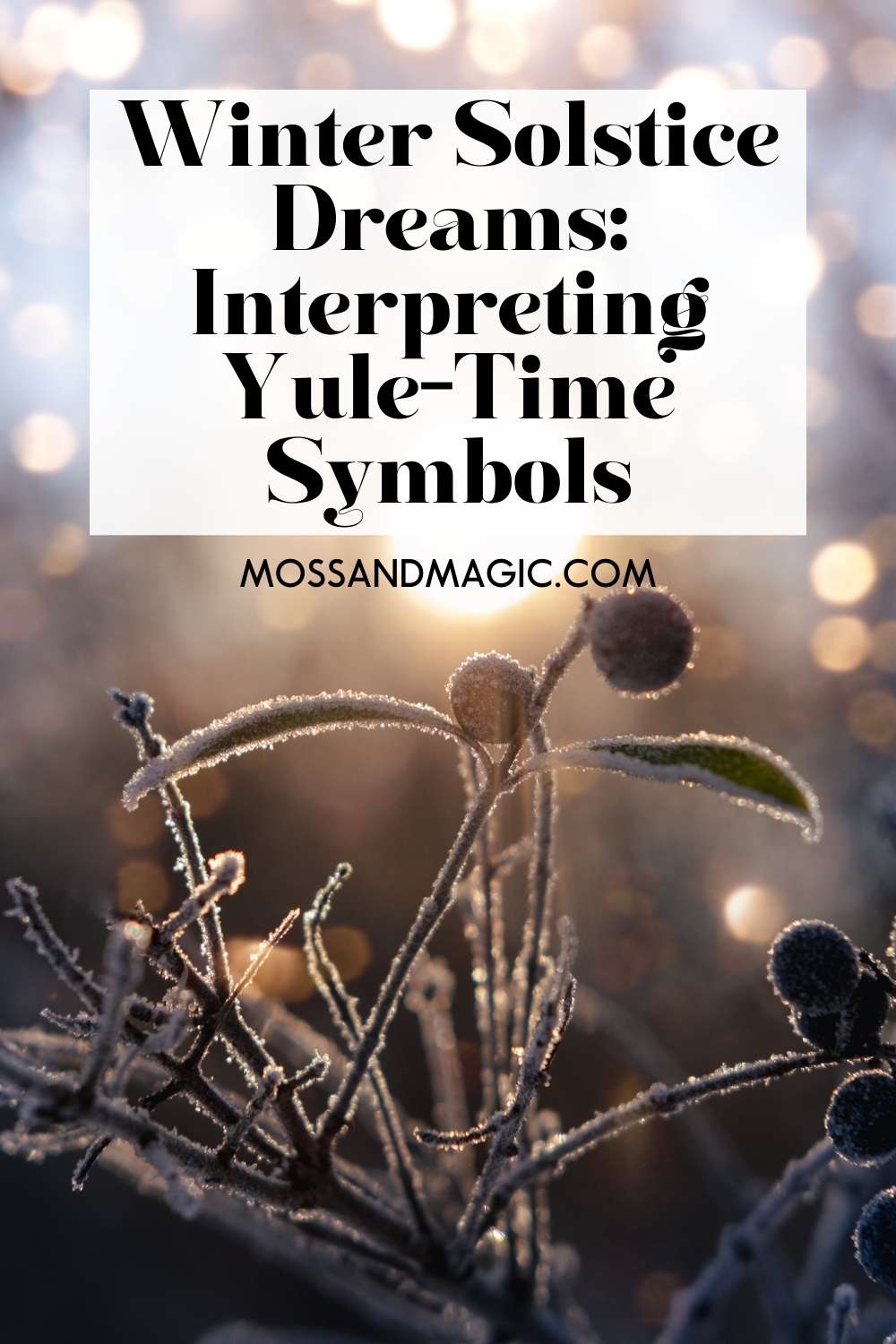 Winter Solstice Dreams: Interpreting Yule-Time Symbols – Moss & Magic
