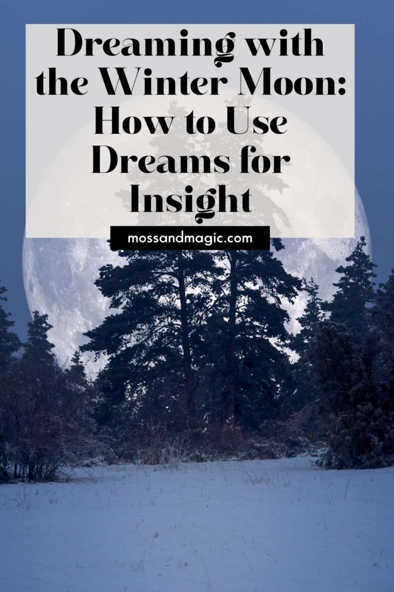 Dreaming with the Winter Moon: How to Use Dreams for Insight – Moss & Magic