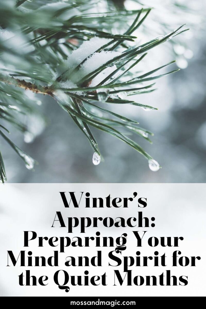 Winter’s Approach: Preparing Your Mind and Spirit for the Quiet Months ...