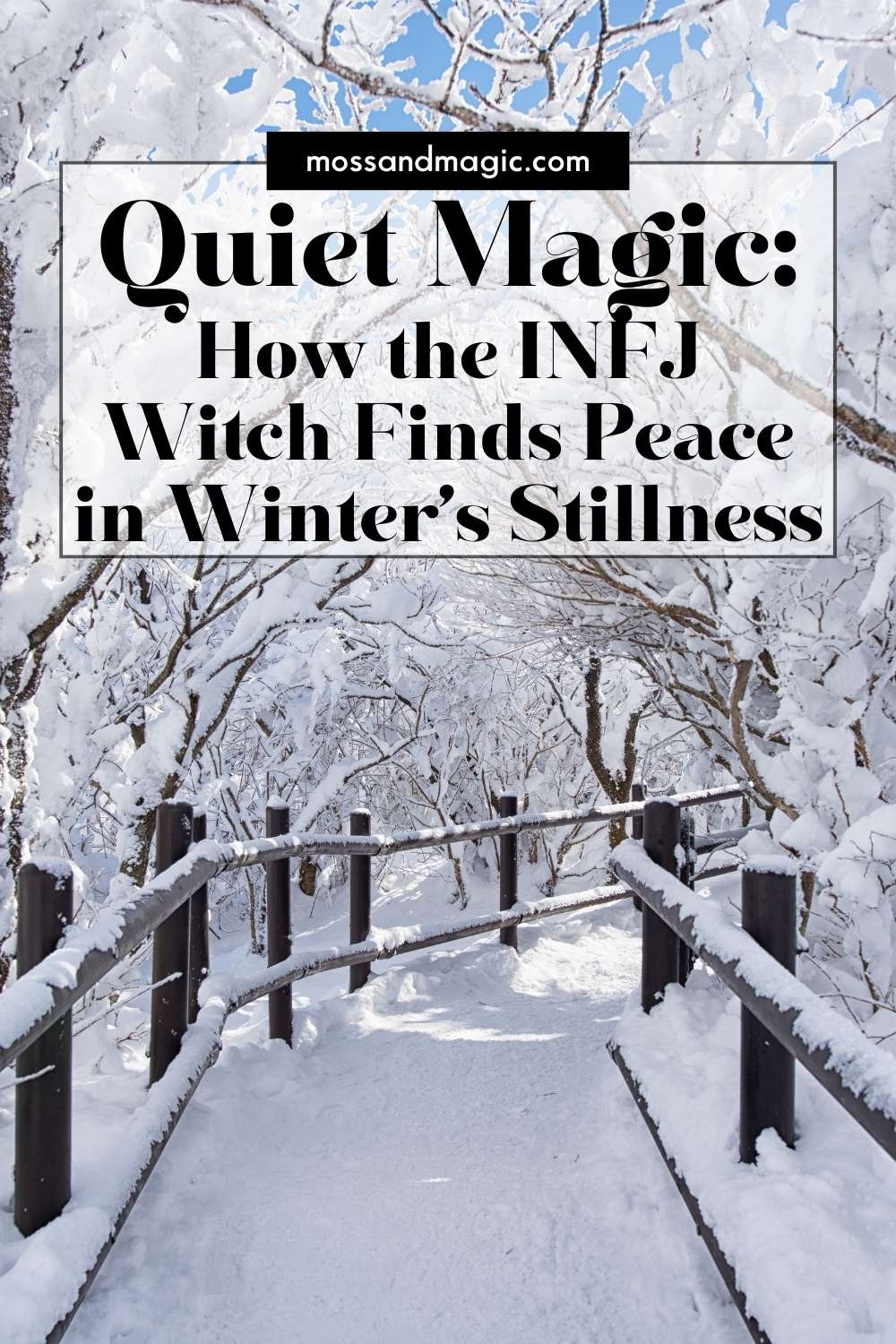 Quiet Magic: How the INFJ Witch Finds Peace in Winter’s Stillness ...