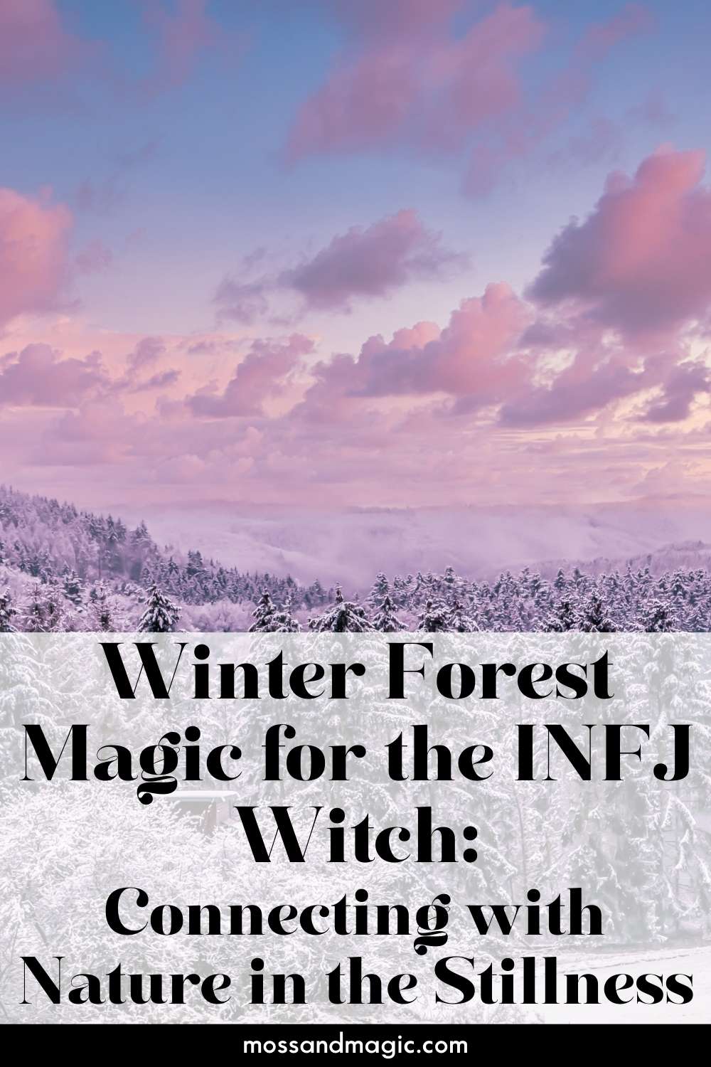 Winter Forest Magic for the INFJ Witch: Connecting with Nature in the ...