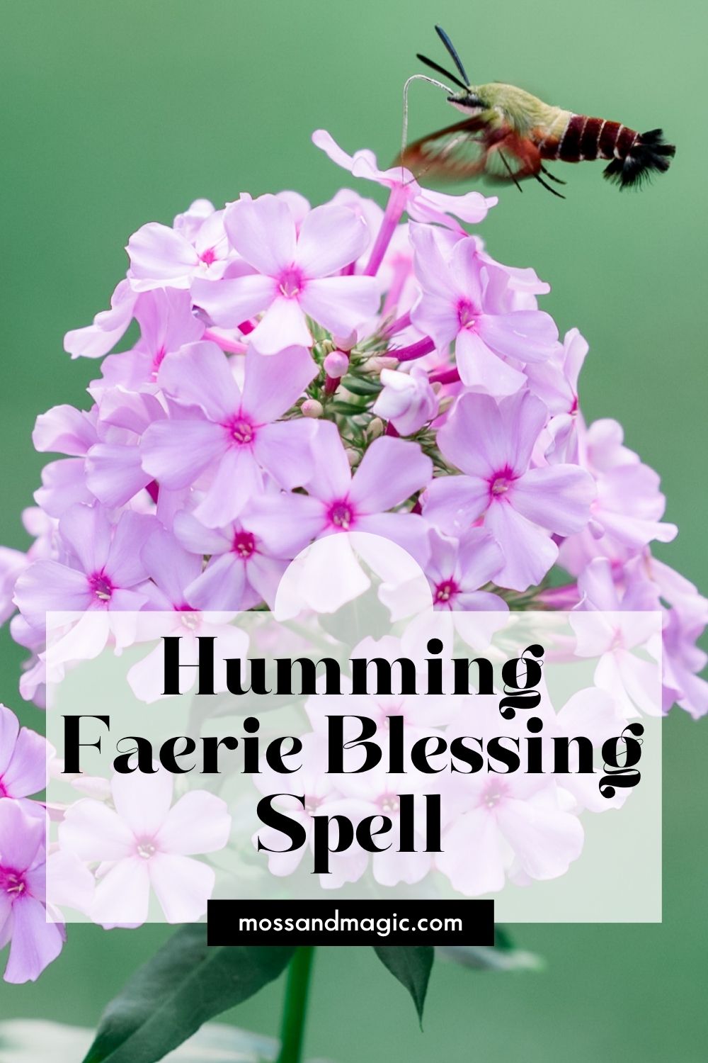 Humming Faerie Blessing Spell – Moss & Magic